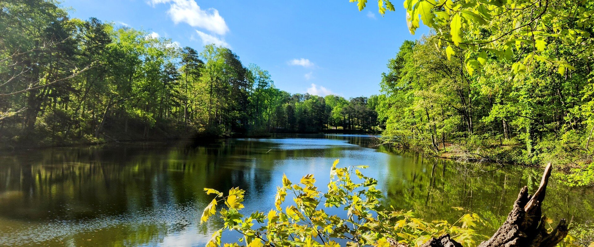 Duncan Park Revisioning Plan | PAL Spartanburg