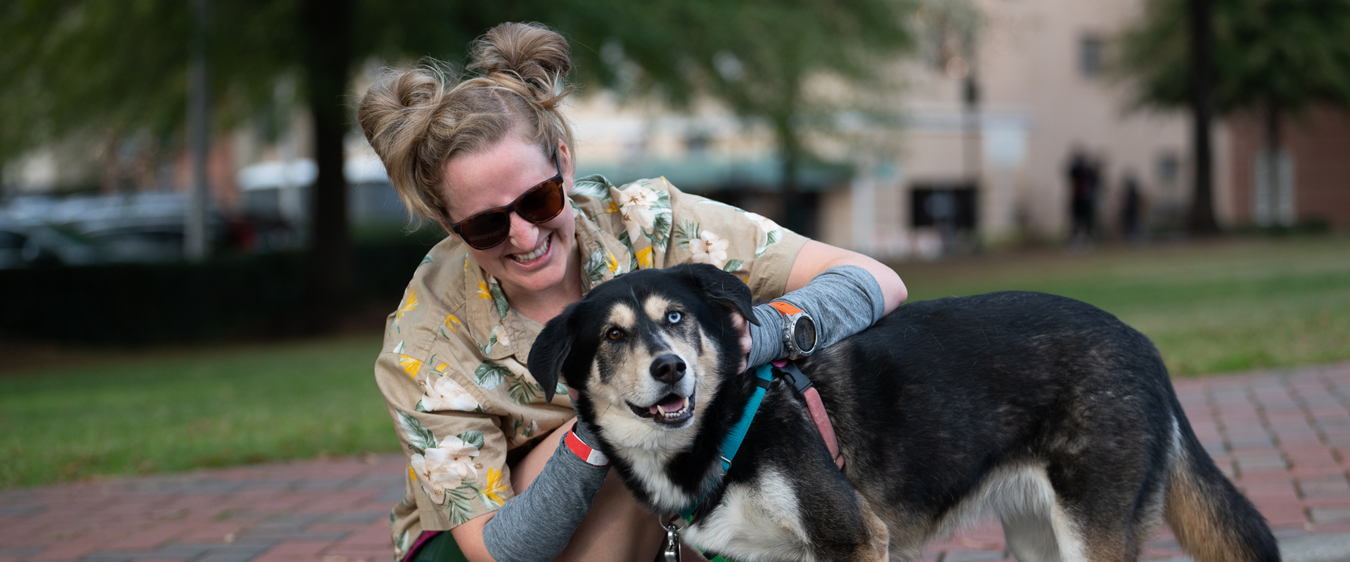 Group plans to start next phase of Wadsworth Trail to historic Anderson ...